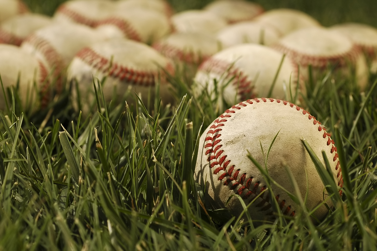 $2.5m Baseball Collection Donated To Parkhurst Field